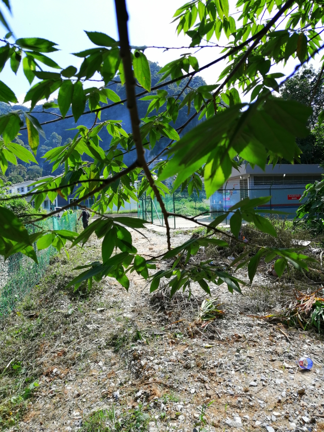 Nature | HONOR CLUB (MY)